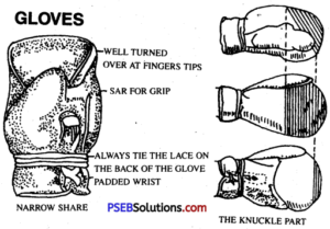 Boxing Game Rules – PSEB 10th Class Physical Education – PSEB Solutions