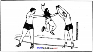 Handball Game Rules – PSEB 10th Class Physical Education – PSEB Solutions