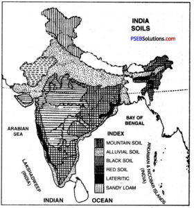 PSEB 10th Class SST Solutions Geography Chapter 4 Natural Vegetation ...