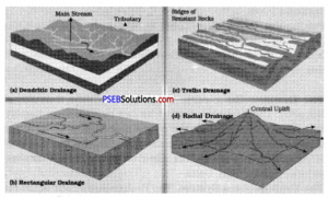 PSEB 9th Class SST Solutions Geography Chapter 3a India: Drainage ...