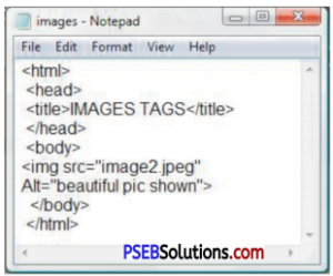 PSEB 10th Class Computer Solutions Chapter 2 HTML Fundamentals – PSEB ...