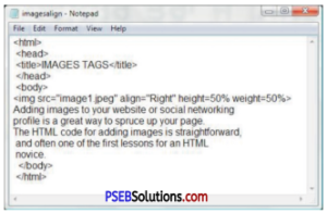 PSEB 10th Class Computer Solutions Chapter 2 HTML Fundamentals – PSEB Solutions