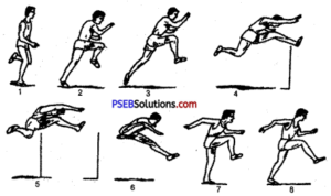 Athletics Game Rules – PSEB 10th Class Physical Education – PSEB Solutions