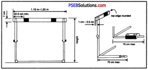 PSEB 12th Class Physical Education Practical Athletics – PSEB Solutions