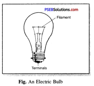 Class 6 – PSEB Solutions