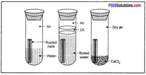 PSEB 10th Class Science Important Questions Chapter 3 Metals and Non ...