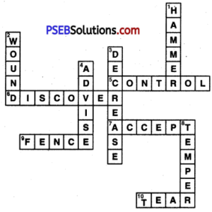 PSEB 7th Class English Solutions Chapter 7 A Hole in the Fence – PSEB ...