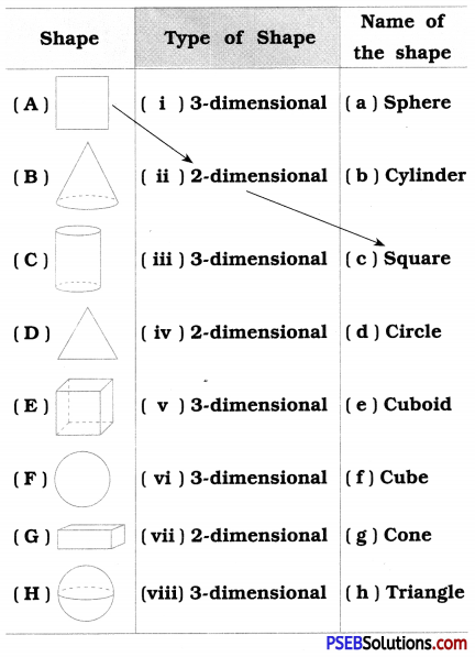 PSEB 8th Class Maths Solutions Chapter 10 Visualising Solid Shapes 