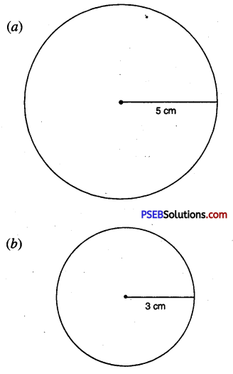 PSEB 4th Class Maths Solutions Chapter 7 Shapes Ex 7 1 5 PSEB Solutions
