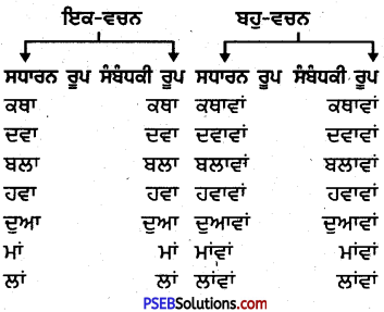 PSEB 4th Class Punjabi Grammar ਵਿਆਕਰਨ – PSEB Solutions