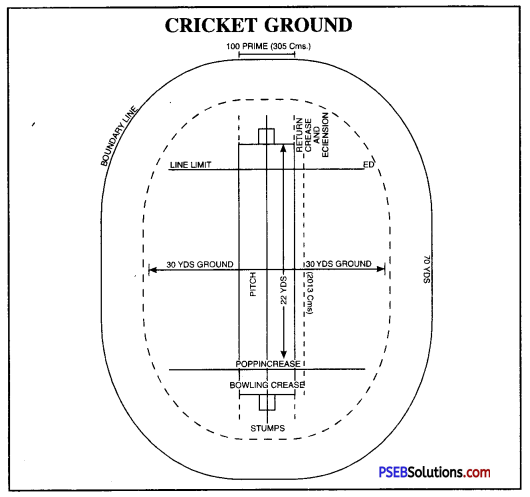 क्रिकेट (Cricket) Game Rules – PSEB 10th Class Physical Education ...