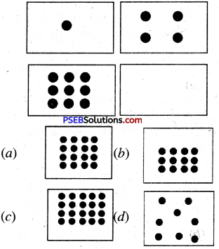 PSEB 5th Class Maths MCQ Chapter 11 ਨਮੂਨੇ – PSEB Solutions