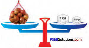 PSEB 5th Class Maths Solutions Chapter 6 ਮਾਪ Ex 6.2 – PSEB Solutions