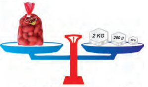 PSEB 5th Class Maths Solutions Chapter 6 ਮਾਪ Ex 6.2 – PSEB Solutions
